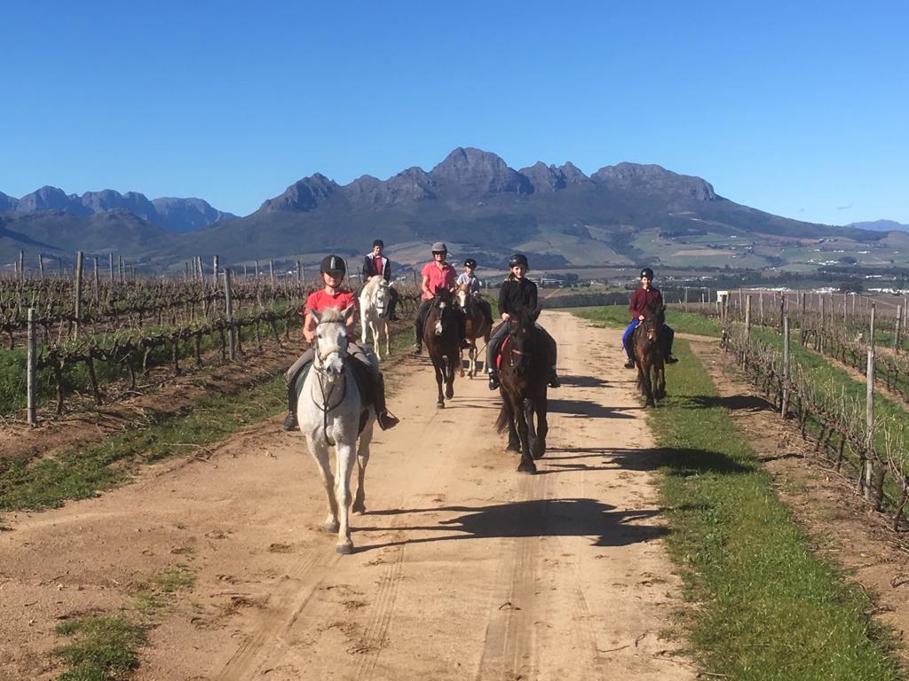 Activities | Devon Valley Farmers Association